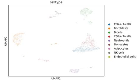 单细胞数据的纵向、横向和比例条形图柱状图绘制python单细胞百分比柱状图 Csdn博客