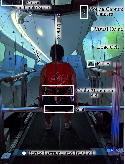 Figure 1 From Reactive Postural Control During Sit To Stand Motion Semantic Scholar