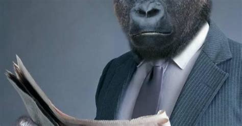 Ape Reading Reuters Wallstreetsilver Article Album On Imgur