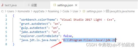 直接在vscode中配置java的jdk路径 vscode找不到jdk csdn博客