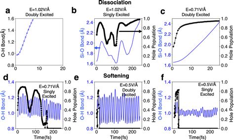 Catalysis In Extreme Field Environments A Case Study Of Strongly