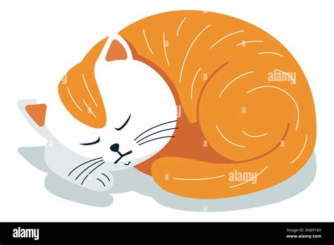 Cute Sleeping Red Cat The Cat Will Curl Up Flat Vector Illustration