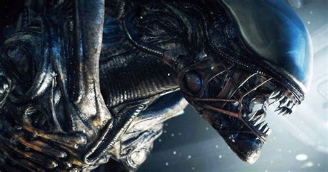 Every Alien Movie Ranked From Worst To Best Moviebabble