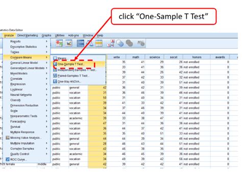 One Sample T Test In Spss