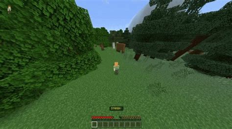 Roll And Stamina Addon 1 21 Minecraft Pe Bedrock Mods