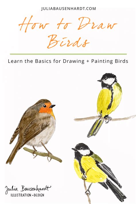 How To Draw Birds Learn Basic Techniques For Drawing Painting Birds New