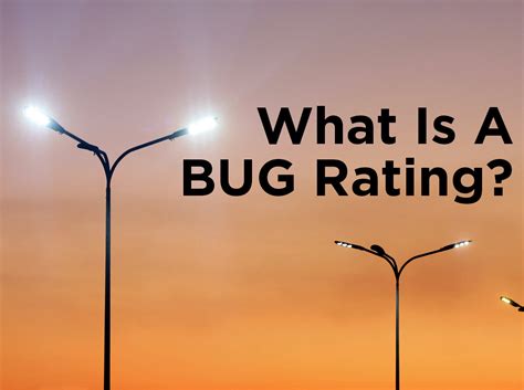 What Is A Bug Rating — 1000bulbs Blog