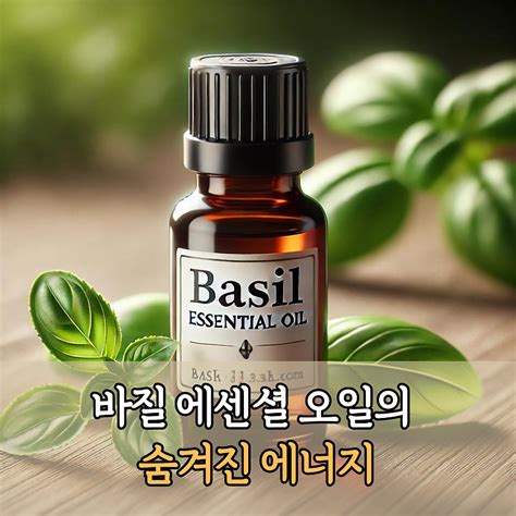 바질 에센셜 오일의 숨겨진 에너지