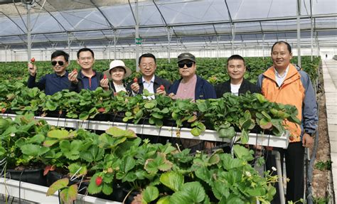 张福锁院士领衔的绿色产业扶贫科技小院首次落户西藏 搜狐大视野 搜狐新闻