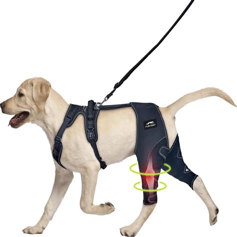 Dog Acl Knee Brace Support For Pets With Ccl Cruciate Ligament Injuries