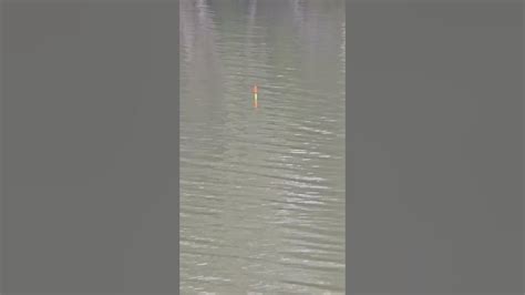 გამოიწერეთ არხი Youtube