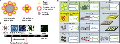 Figure 1 From Nanowire Based Sensors For Biological And Medical Applications Semantic Scholar