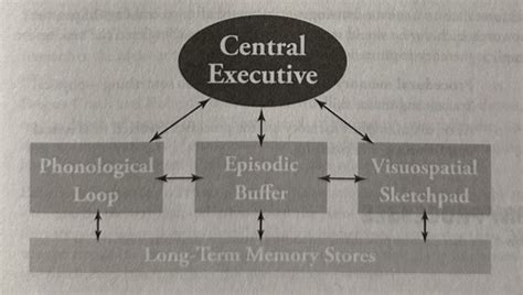 Memory Flashcards Quizlet Memory Flashcards Quizlet
