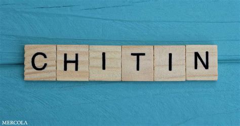 Should You Start Chowing Down On Chitin
