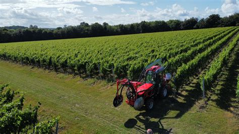 Pneumatic Leaf Remover For Vineyards Producetech