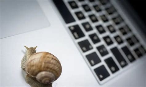 Why Is My Hp Laptop So Slow