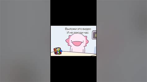 Описание съел аксалотоль Youtube