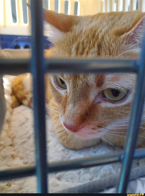 Protips Memes Best Collection Of Funny Protips Pictures On Ifunny