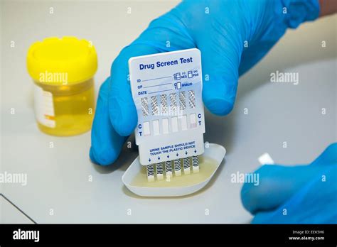 One Step Multi Drug Screen Test Dip And Read 12 Panel Multi Drug Urine