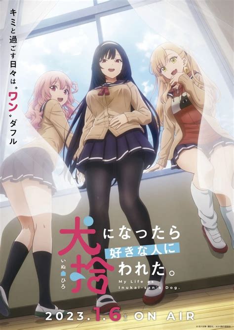 My Life As Inukai Sans Dog Anime Gets Revealing In Nsfw Trailer