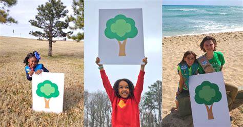 The Girl Scout Tree Promise Plant Protect And Honor 5 Million Trees By 2026 Girl Scout Blog