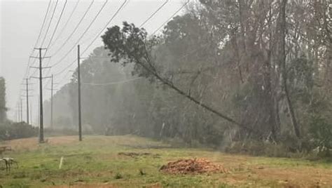Severe Storms Topple Trees Knock Out Power In Jasper Beaufort