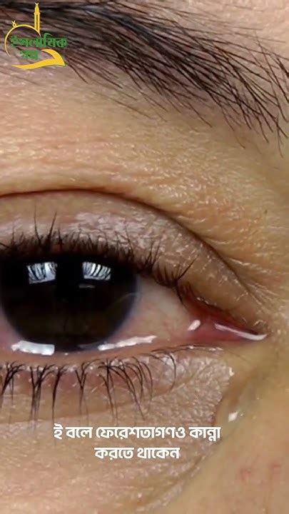 হাদিসটি দেখার এবং শোনার পর আপনি বারবার মহান আল্লাহ্‌র প্রেমে পড়বেন Islamic Story ইসলামিক