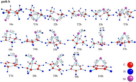 Computationally Optimised Structures Of All Chemical Species Involved Download Scientific