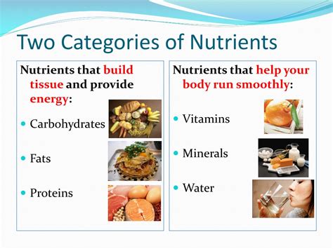 6 Essential Nutrients And Why You Need Them