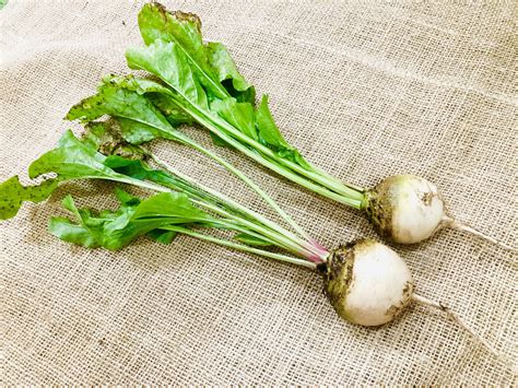 白ビーツ 北海道産の美味しいビーツや西洋野菜、北海道米ふっくりんこや各種野菜の事なら愛情込めて無農薬栽培しているnk2 Farmへ
