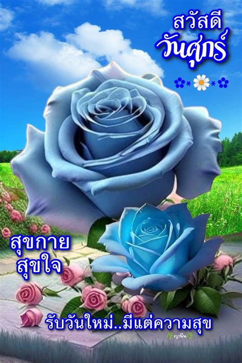 วันศุกร์ 🌿💙 สวัสดีตอนเช้า วันศุกร์ สุขสันต์วันอาทิตย์