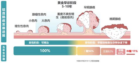 结直肠癌甲基化检测