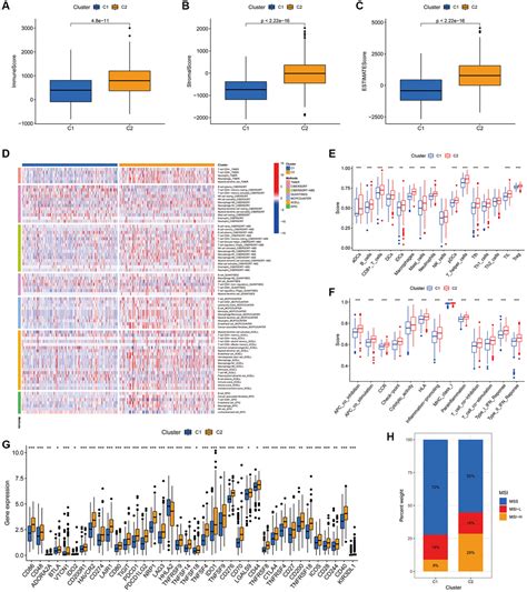 Construction Of A Novel Cancer Associated Fibroblast Related Signature