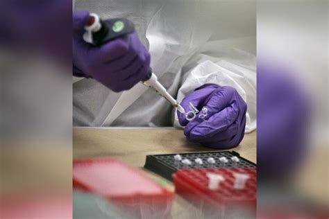 Adoptee Dna Matching Service Reveals Suspicious Link To China The