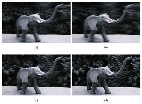 simulated multiview display of elephant image a the angular