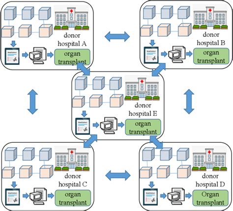 Figure 6 From Survey On Organ Allocation Algorithms And Blockchain Based Systems For Organ