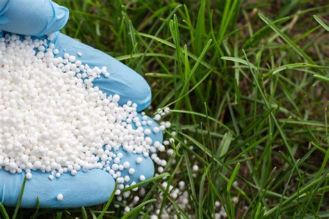 Compost Vs Fertilizer What Are The Differences Gardening Latest