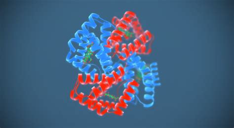 Hemoglobin 3d Scene Mozaik Digital Education And Learning