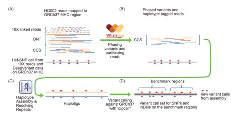 How To Get Reliable Variant Calling In Repeat Rich Regions Inside Dnanexus
