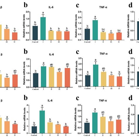 Effects Of Probiotics On Inflammatory Cytokine Expression In Ileum