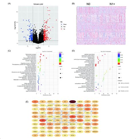Bioinformatic Analysis Of Differentially Expressed Genes A Volcano Download Scientific