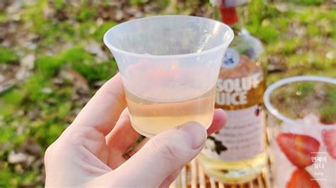 앱솔루트 보드카 딸기 에디션 주스 스트로베리 F 칵테일 만들기 네이버 블로그