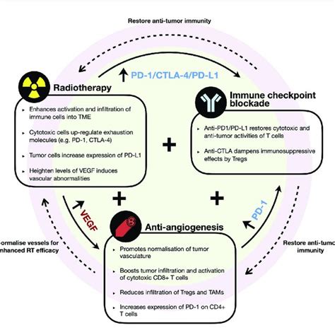 Rationale Of Combination Therapy With Radiotherapy Immune Checkpoint Download Scientific