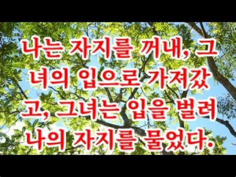 감동사연 나는 자지를 꺼내 그녀의 입으로 가져갔고 그녀는 입을 벌려 나의 자지를 물었다 사이다사연 시어머니 반전사연 YouTube
