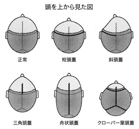 Neuroinfo Japan