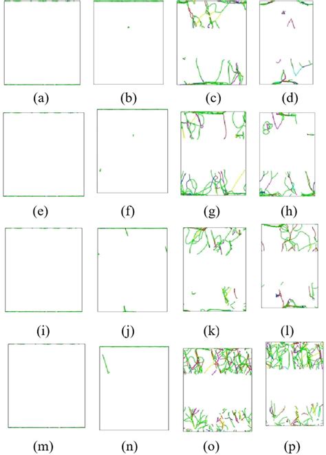 The Distribution Of The Dislocation Lines With Respect To The Marked