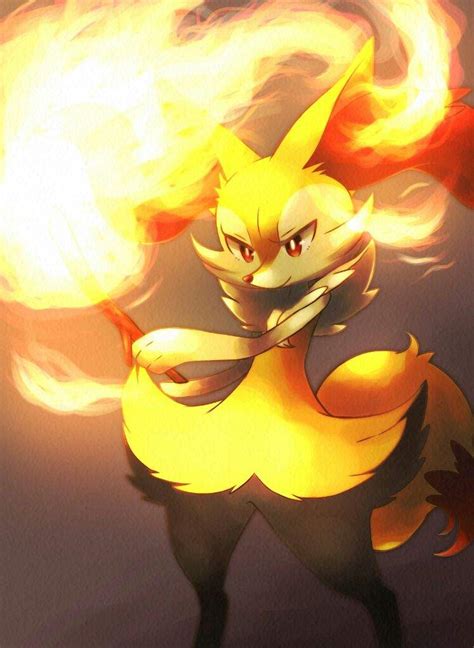 Braixen Wiki Pokémon Amino