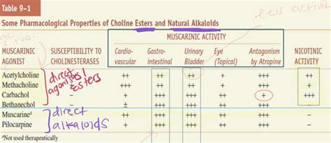 Cholinergic Pharmacology Flashcards Quizlet