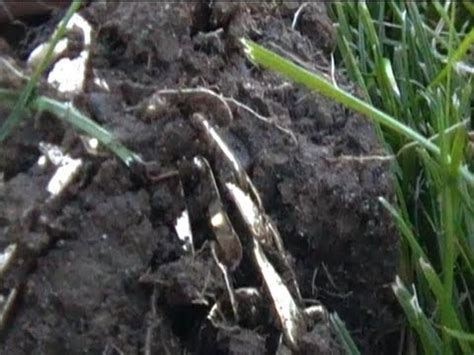 Fisher F2: Gold Pays For Detector In One Day! - YouTube