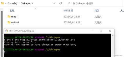 瑞吉外卖笔记——第01讲git常用命令 瑞吉外卖git笔记 csdn csdn博客